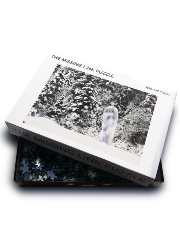 Missing Link - Puzzle | Picto | Publishing