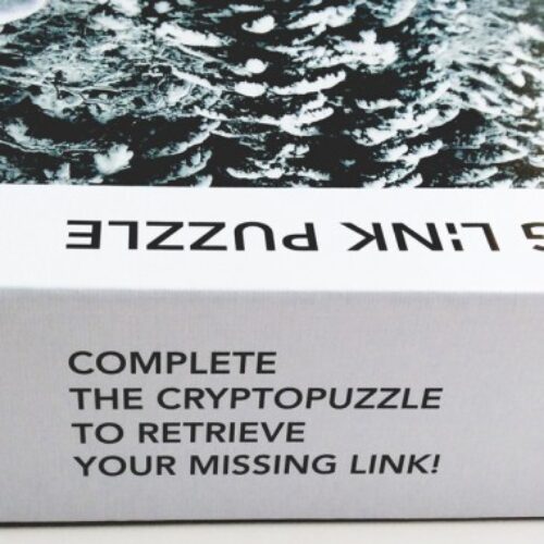 Missing Link - Puzzle | Picto | Publishing