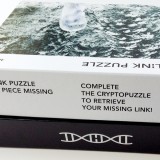 Missing Link - Puzzle | Picto | Publishing